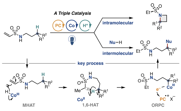 Publication｜大宮研究室｜京都大学 大学院工学研究科