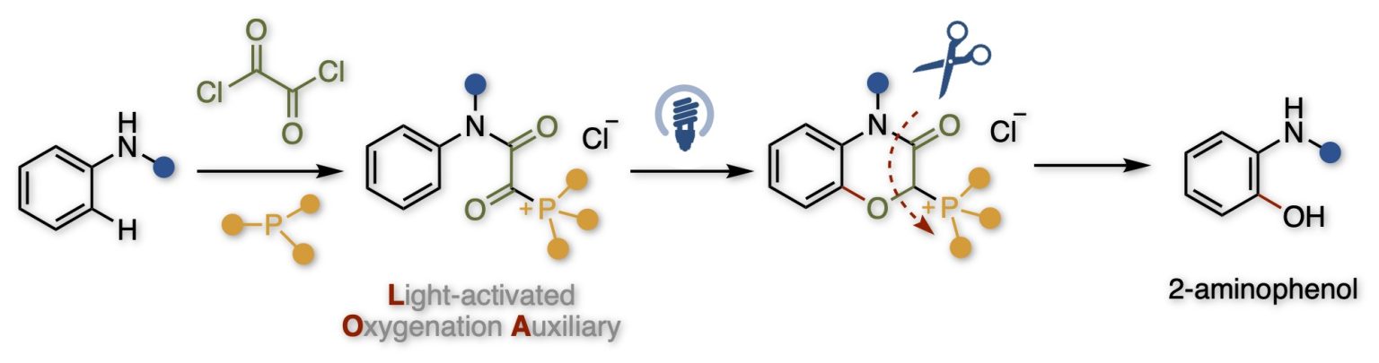 Publication｜大宮研究室｜京都大学 大学院工学研究科